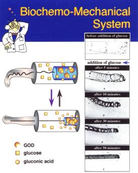 Etsuo Kokufuta’s Webpage Archive